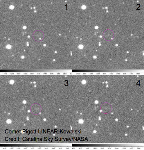 The Discovery, Re-discovery and Recovery of Comet Pigott-LINEAR ...